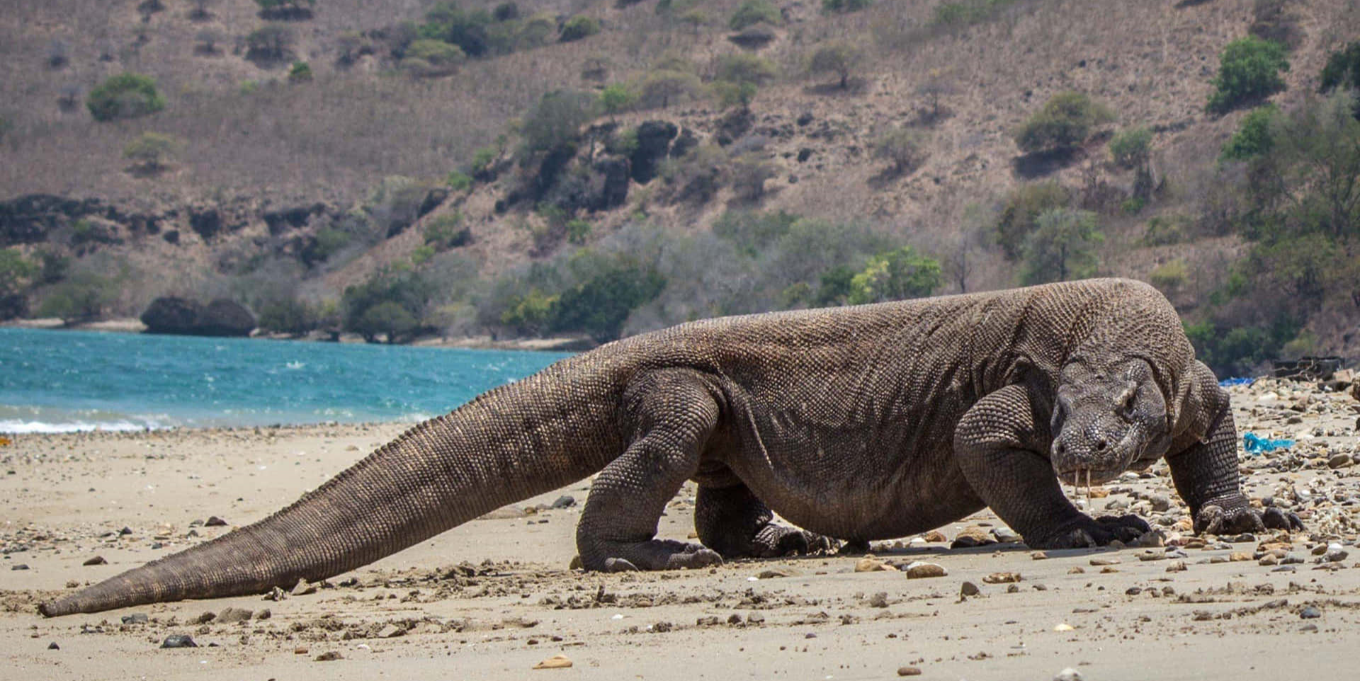 NUSANTARA TOUR & TRAVEL